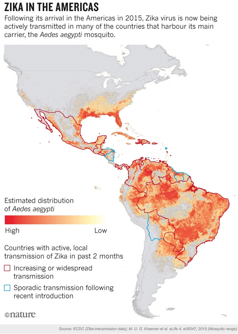 Zika virus could infect four million people in the Americas - and has ...